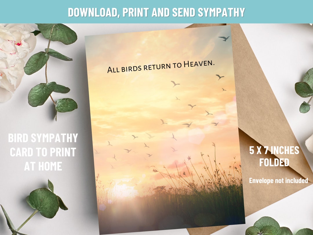 Pet Bird Sympathy Card Printable | DIGITAL DOWNLOAD | Parakeet Loss ...