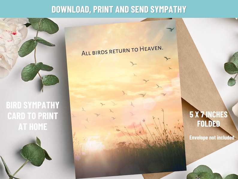 Pet Bird Sympathy Card Printable | DIGITAL DOWNLOAD | Parakeet Loss ...