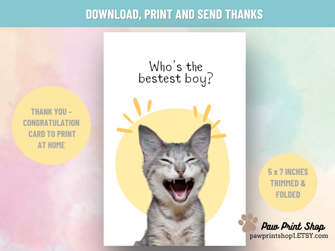 Funny Cat Congratulation Printable | DIGITAL DOWNLOAD | Cat Thank You ...