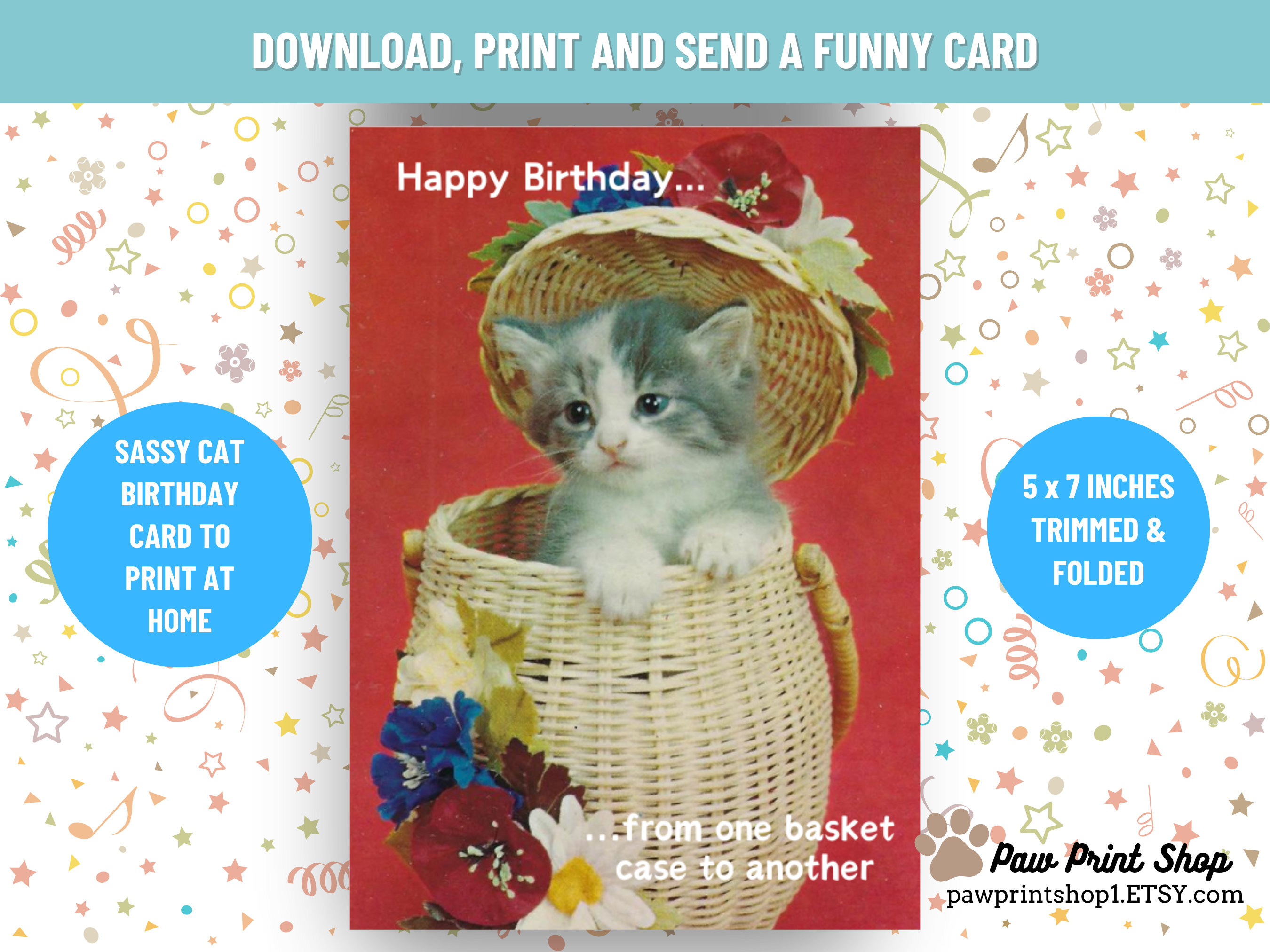 Funny Cat Birthday Printable DIGITAL DOWNLOAD Cat Birthday Card Sassy ...