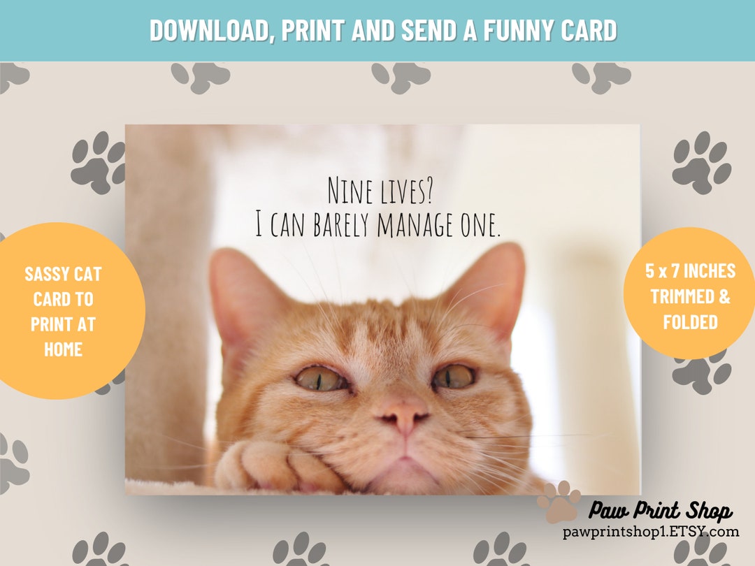 Funny Cat Printable | DIGITAL DOWNLOAD | Cat Greeting Card | Sassy Pet ...
