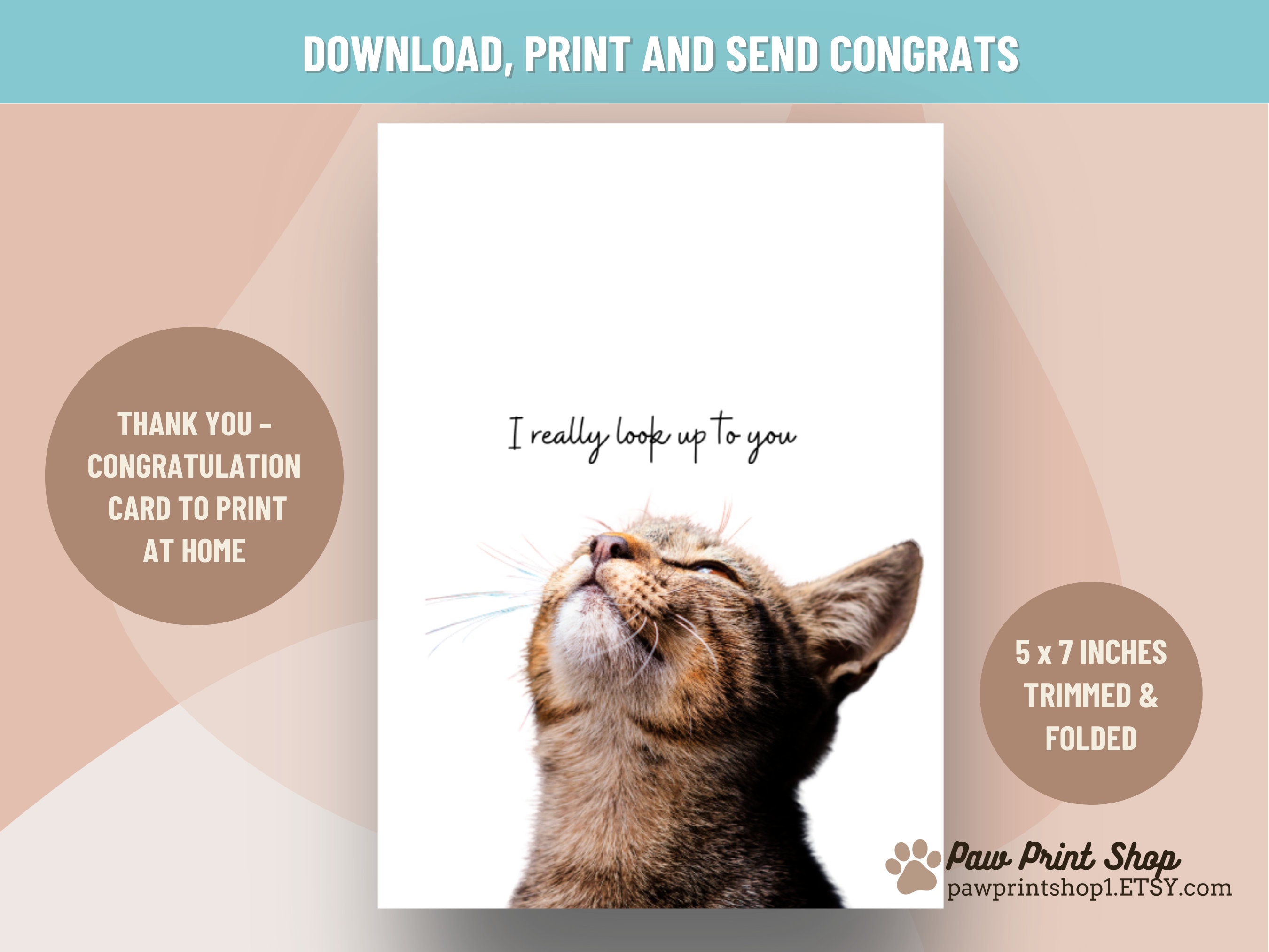 Funny Congratulations Printable | DIGITAL DOWNLOAD | Cat Congratulations Card | Thank You ...