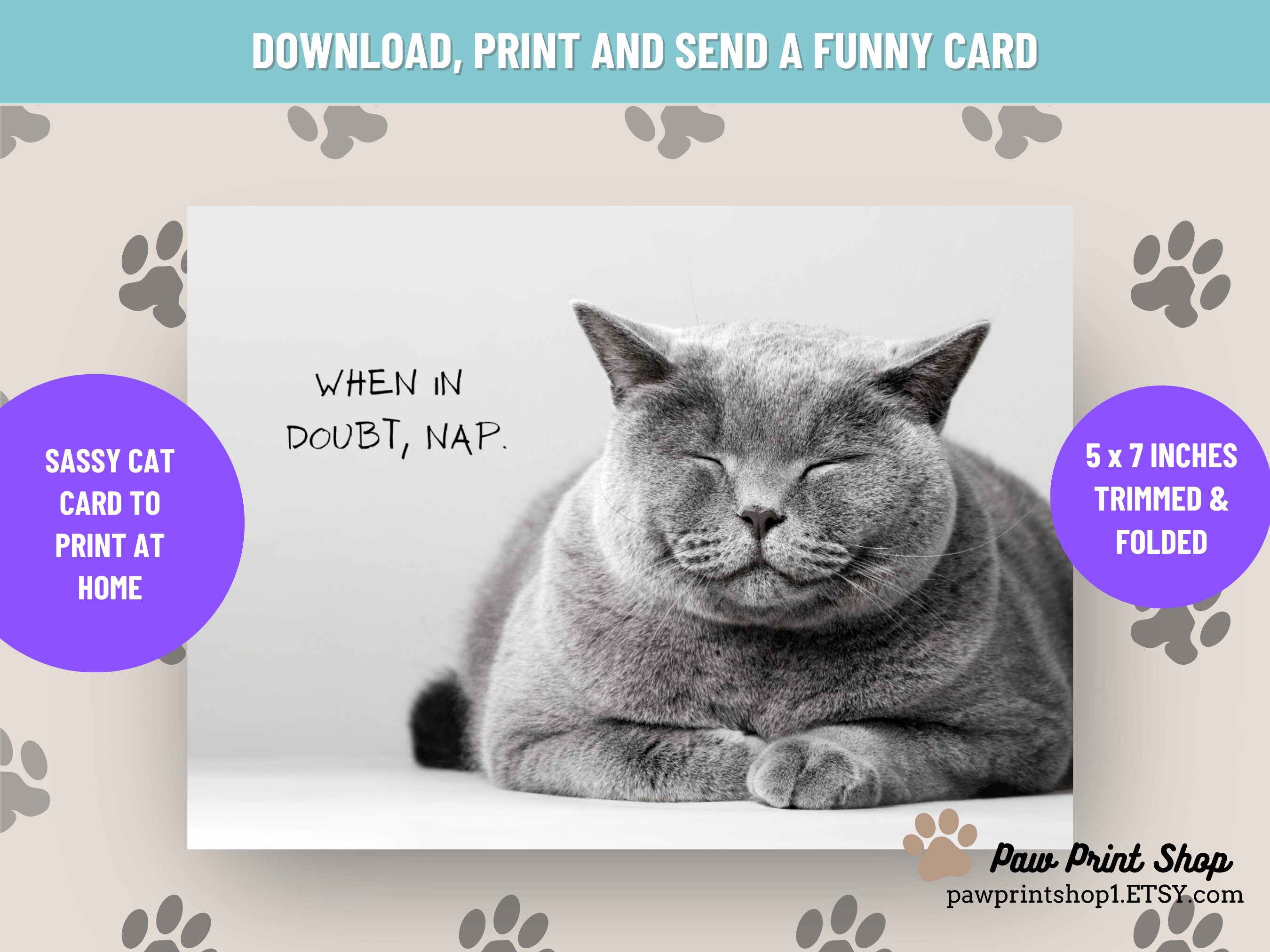 Funny Cat Printable DIGITAL DOWNLOAD Cat Greeting Card Sassy Pet Card ...