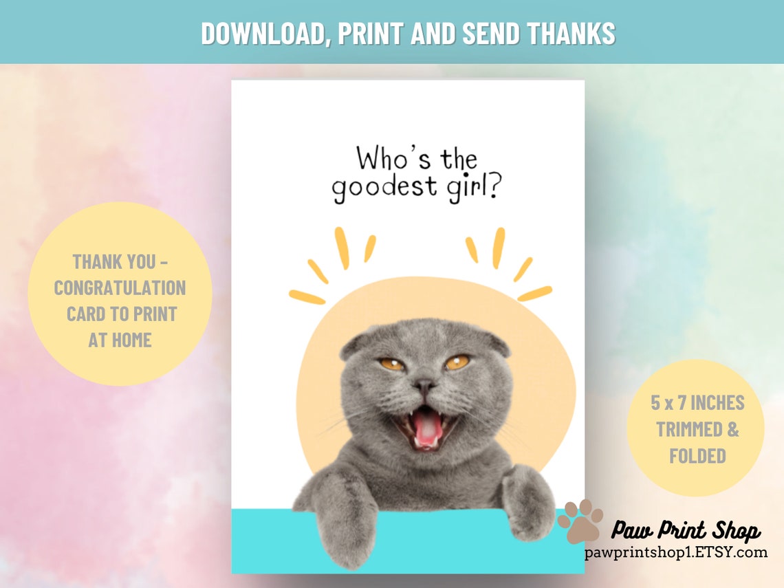 Funny Thank You Printable | DIGITAL DOWNLOAD | Cat Congratulations Card ...