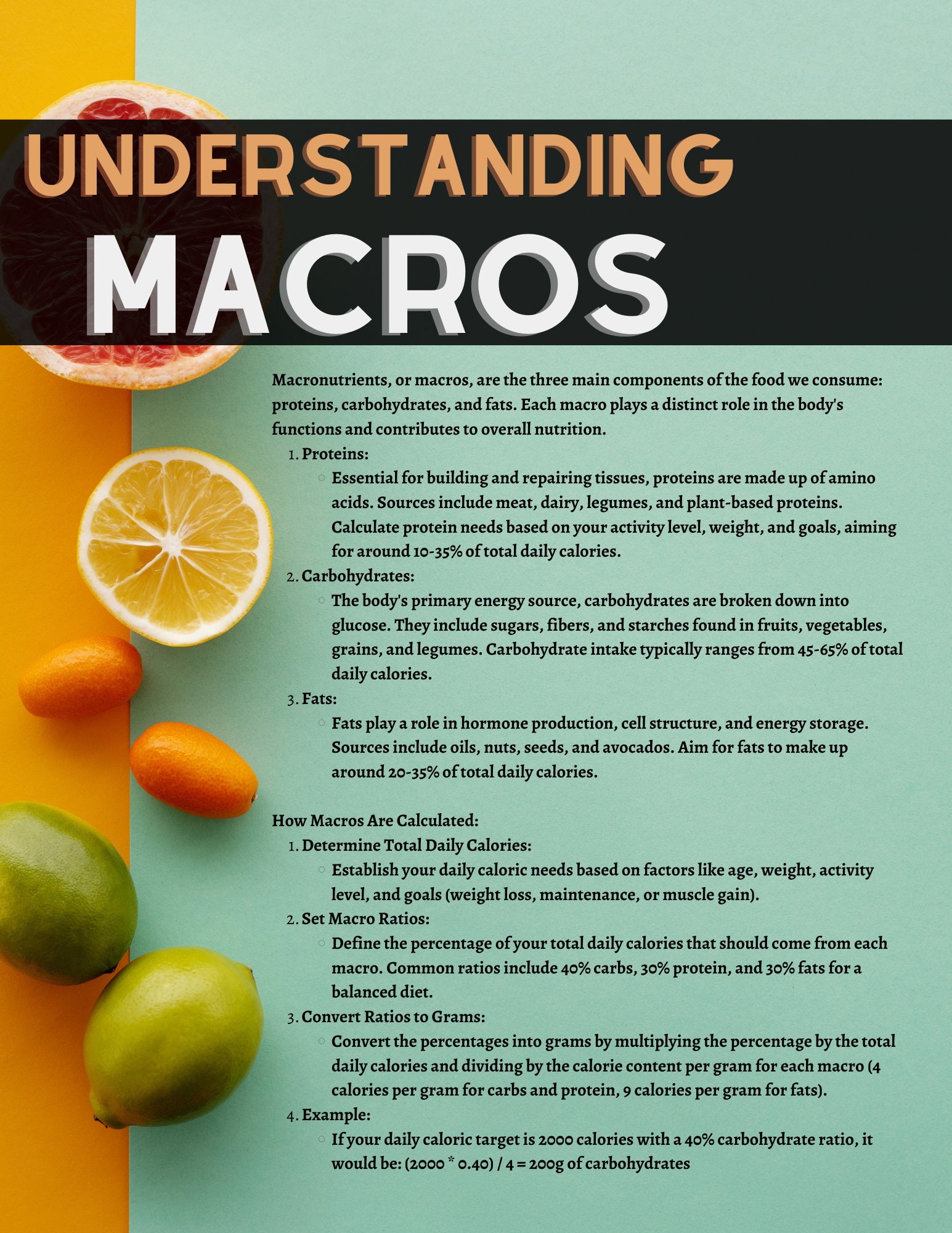 Beginner Macro Counting 30-day Planner & Daily Journal- Tips for ...
