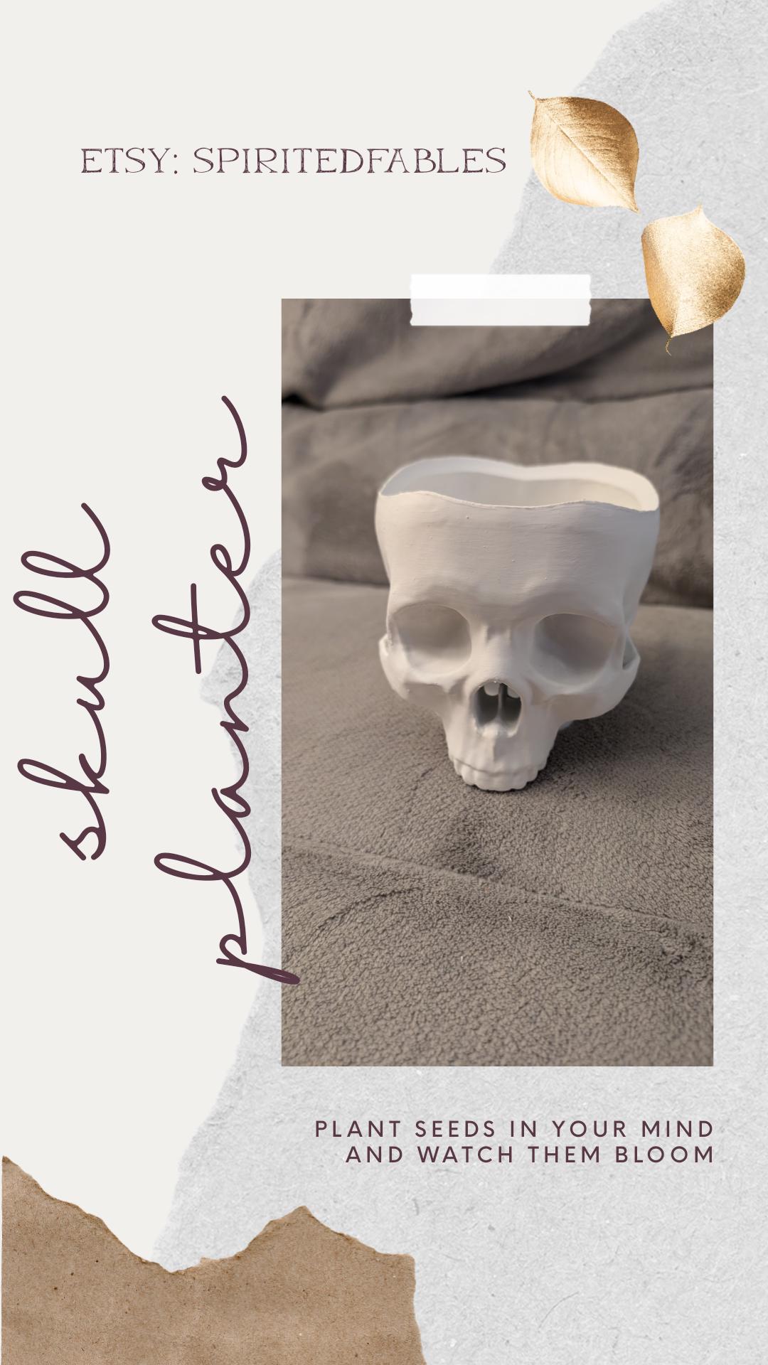 Human Skull Skeleton Axial Anatomical Bowl Pot Planter Plants Gardening ...