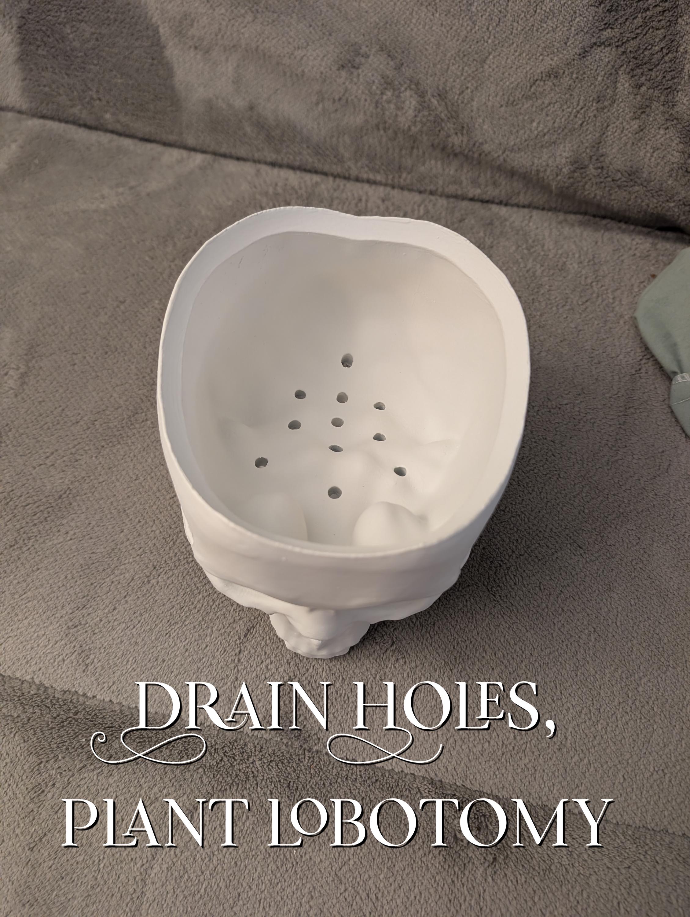 Human Skull Skeleton Axial Anatomical Bowl Pot Planter Plants Gardening ...