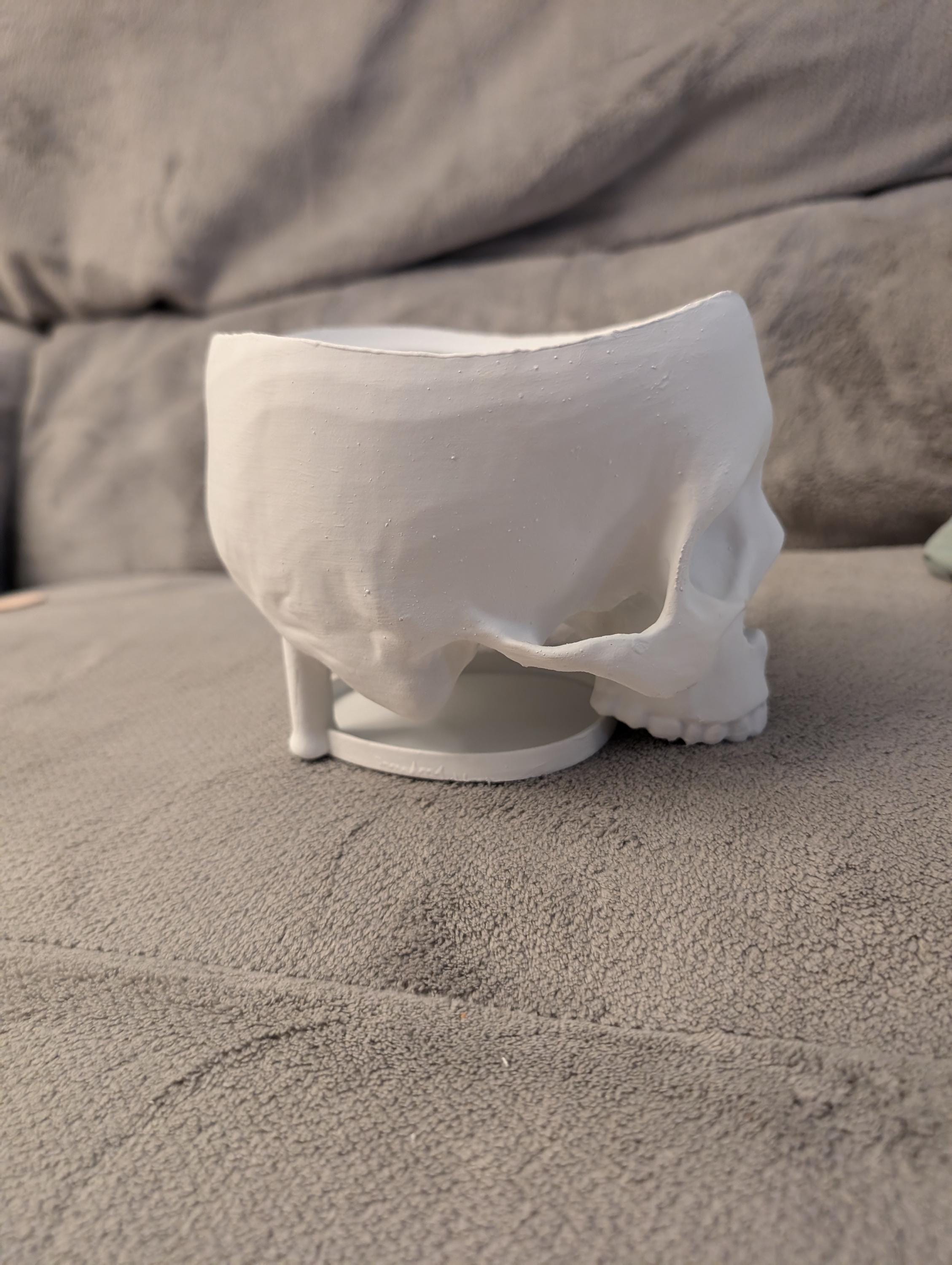 Human Skull Skeleton Axial Anatomical Bowl Pot Planter Plants Gardening ...