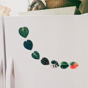 Houseplant Magnet Realistic Leaf Magnet, Rare Plant Magnet Monstera ...