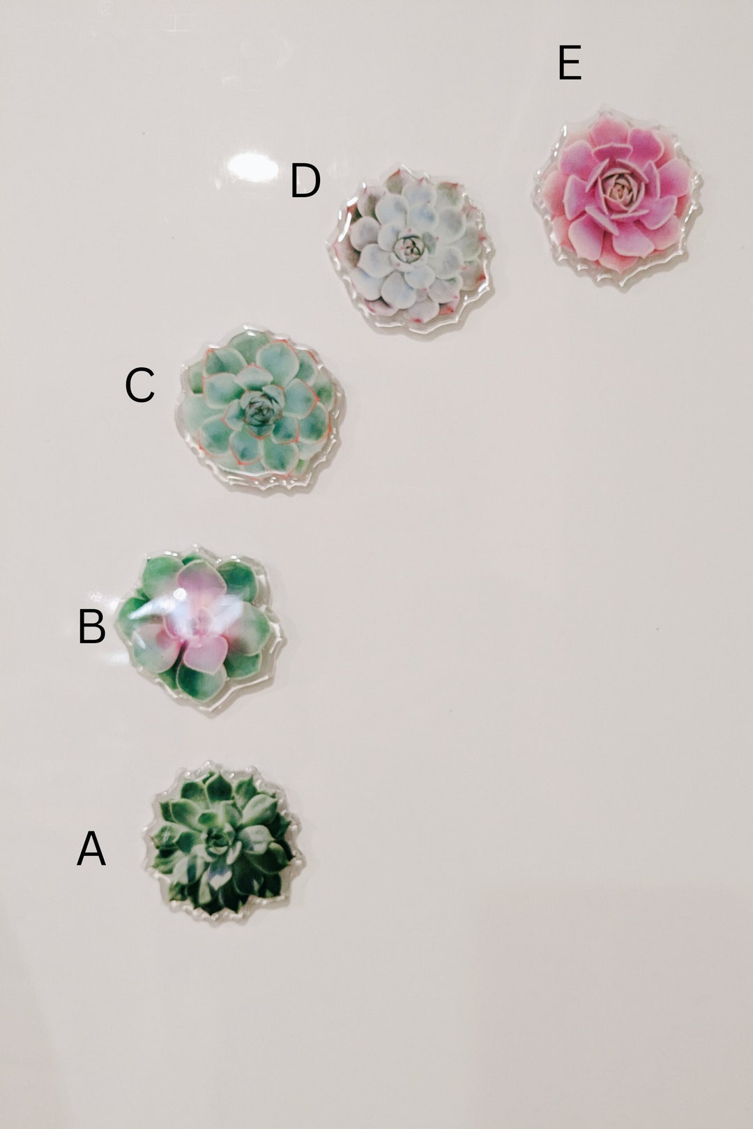 Realistic Plant Magnet , Plant Magnet, Succulent Magnet, Cactus Magnet ...