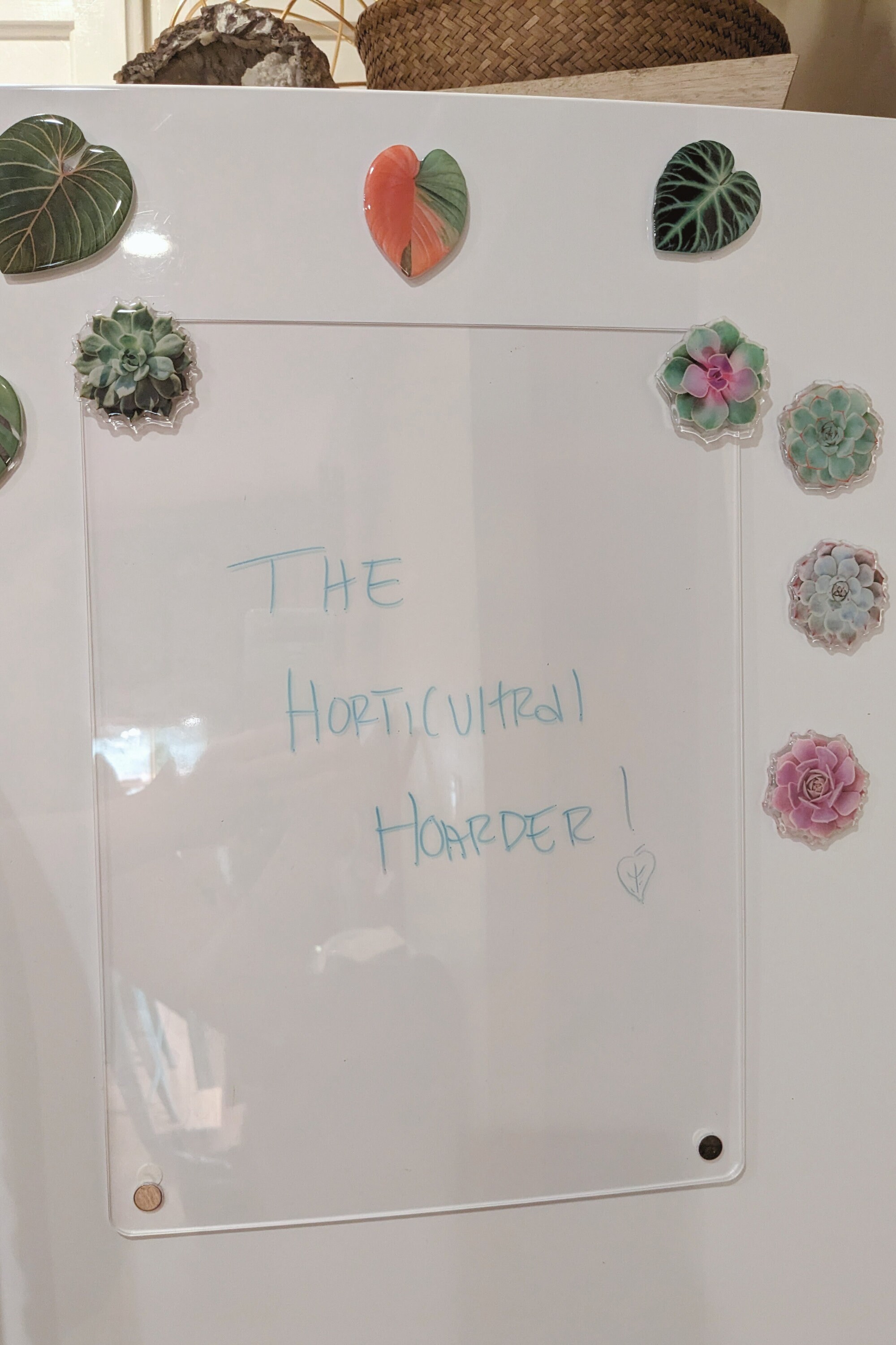 Houseplant Magnet Realistic Leaf Magnet, Rare Plant Magnet Monstera ...