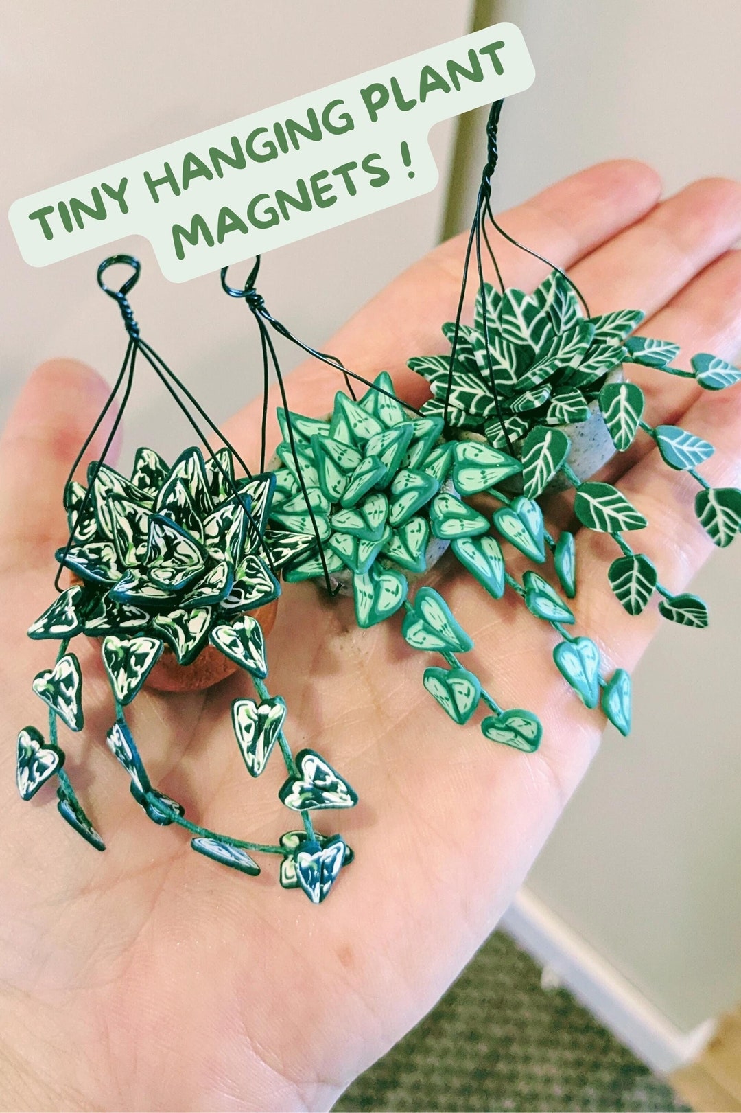 Tiny Hanging Plant Magnet, Monstera Magnet, Houseplant Decor, Plant ...