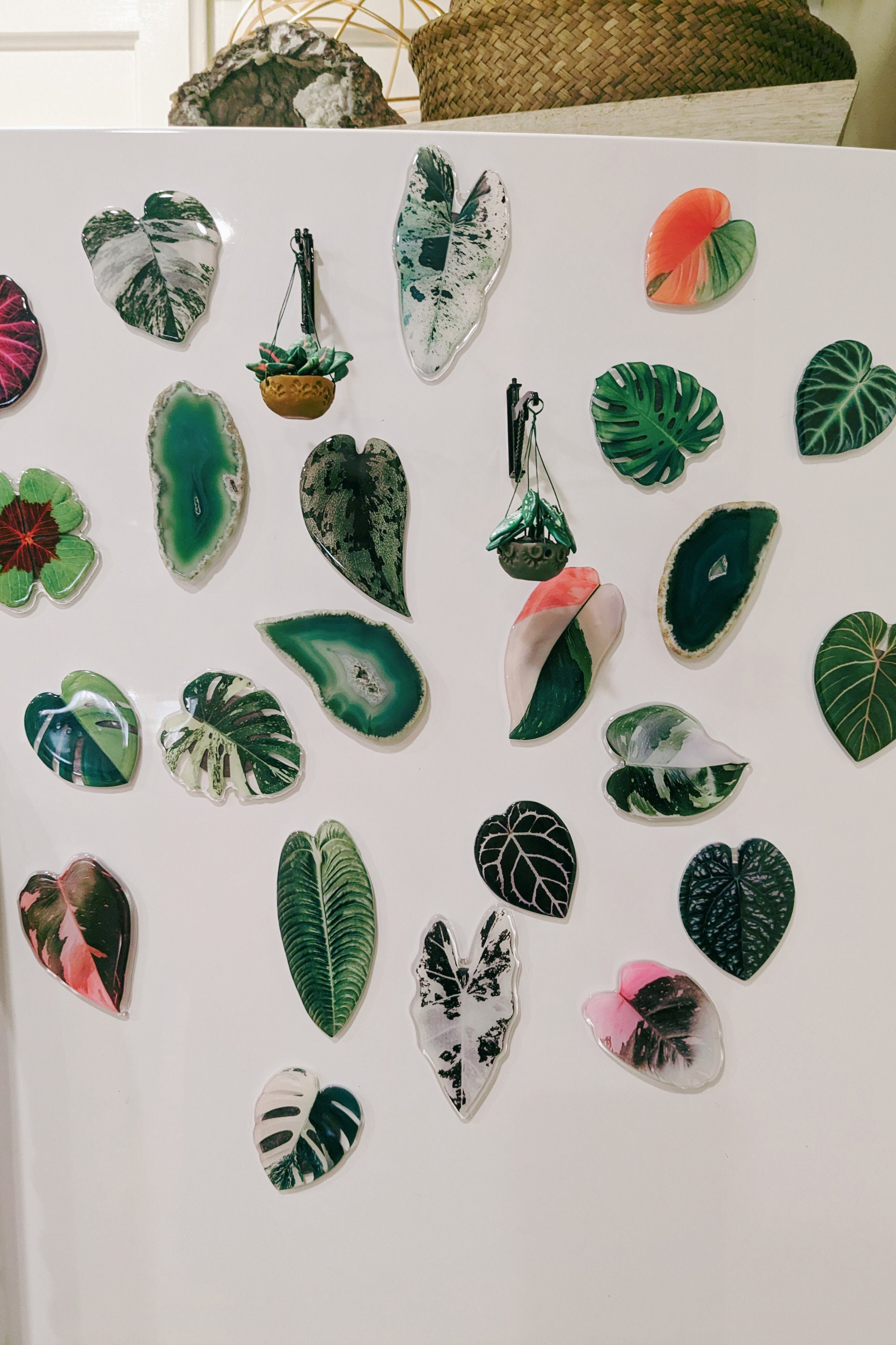 Houseplant Magnet Realistic Leaf Magnet, Rare Plant Magnet Monstera ...