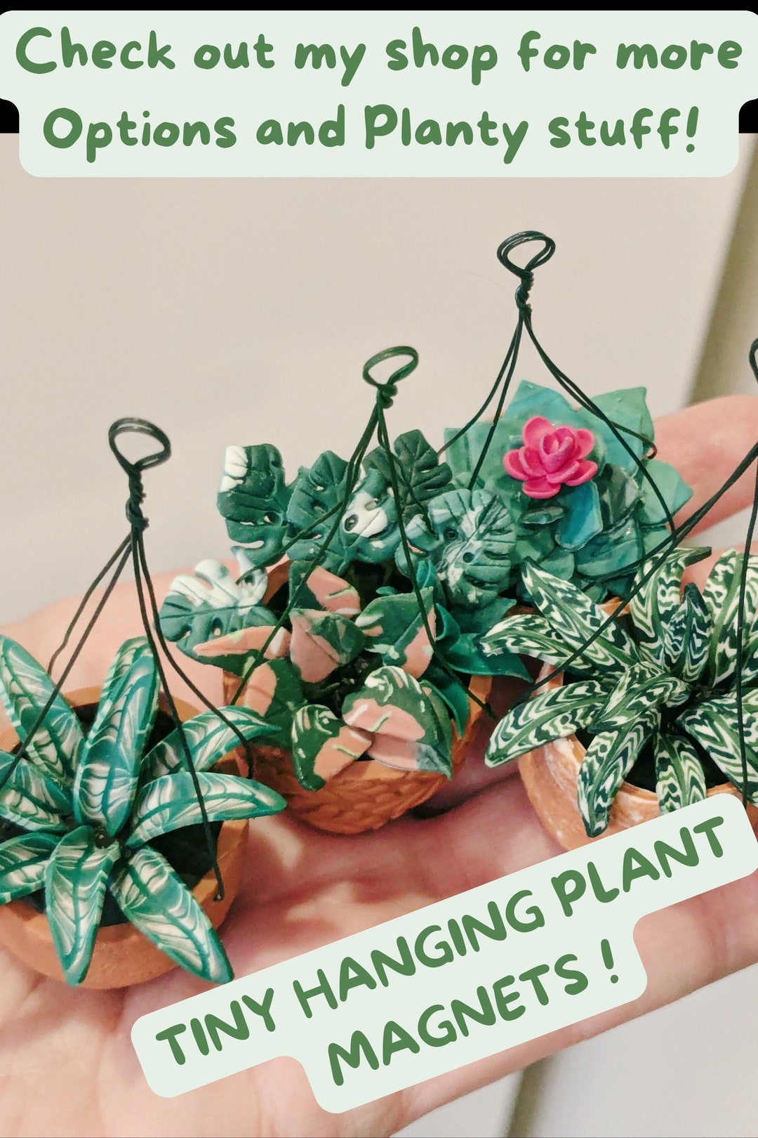 Miniature Plant Magnet, Tiny Hanging Plant, Plant Magnet,plant Fridge ...