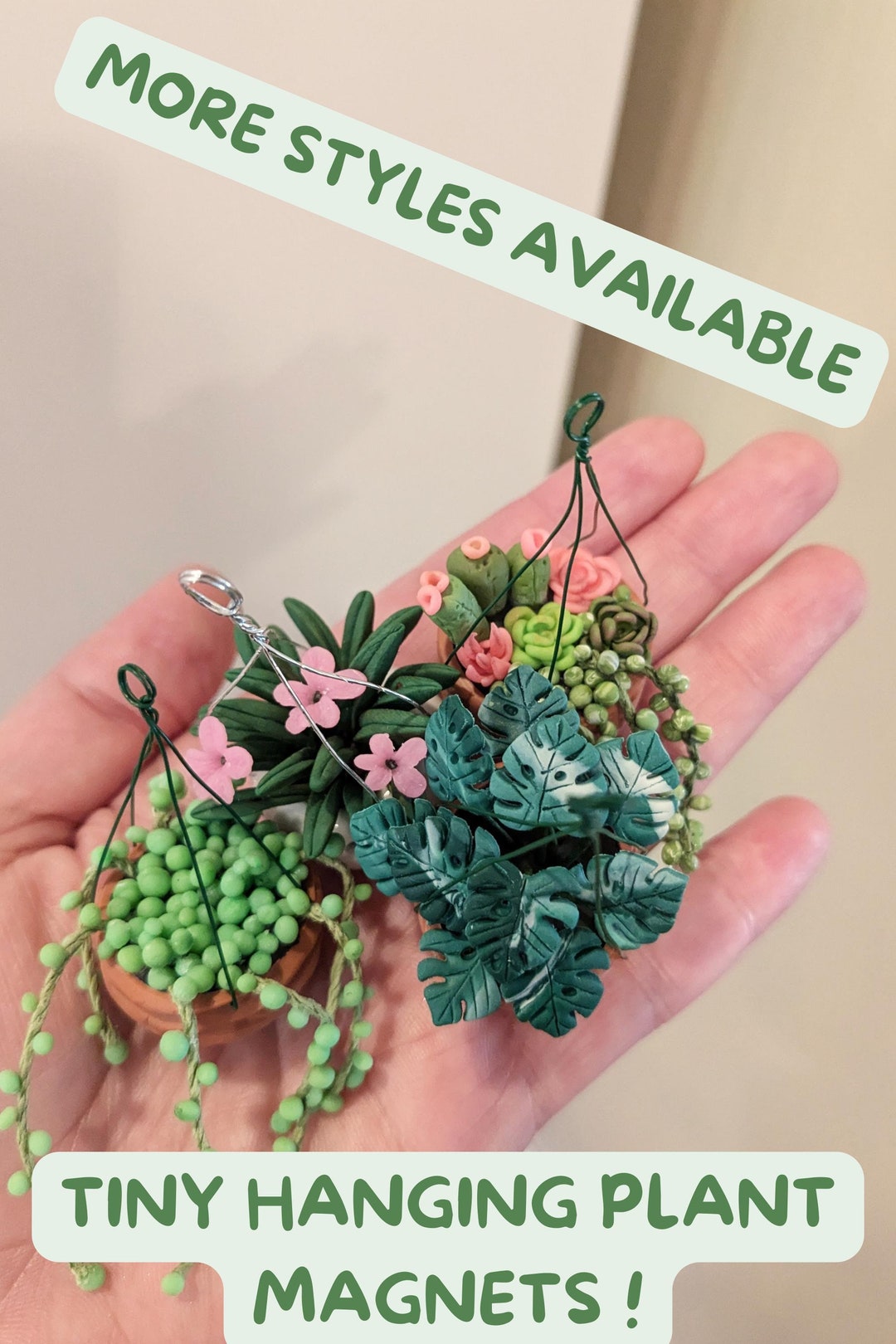 Mini Plant Magnet, Tiny Plant Magnets, Tropical Plant Magnets, Rare ...