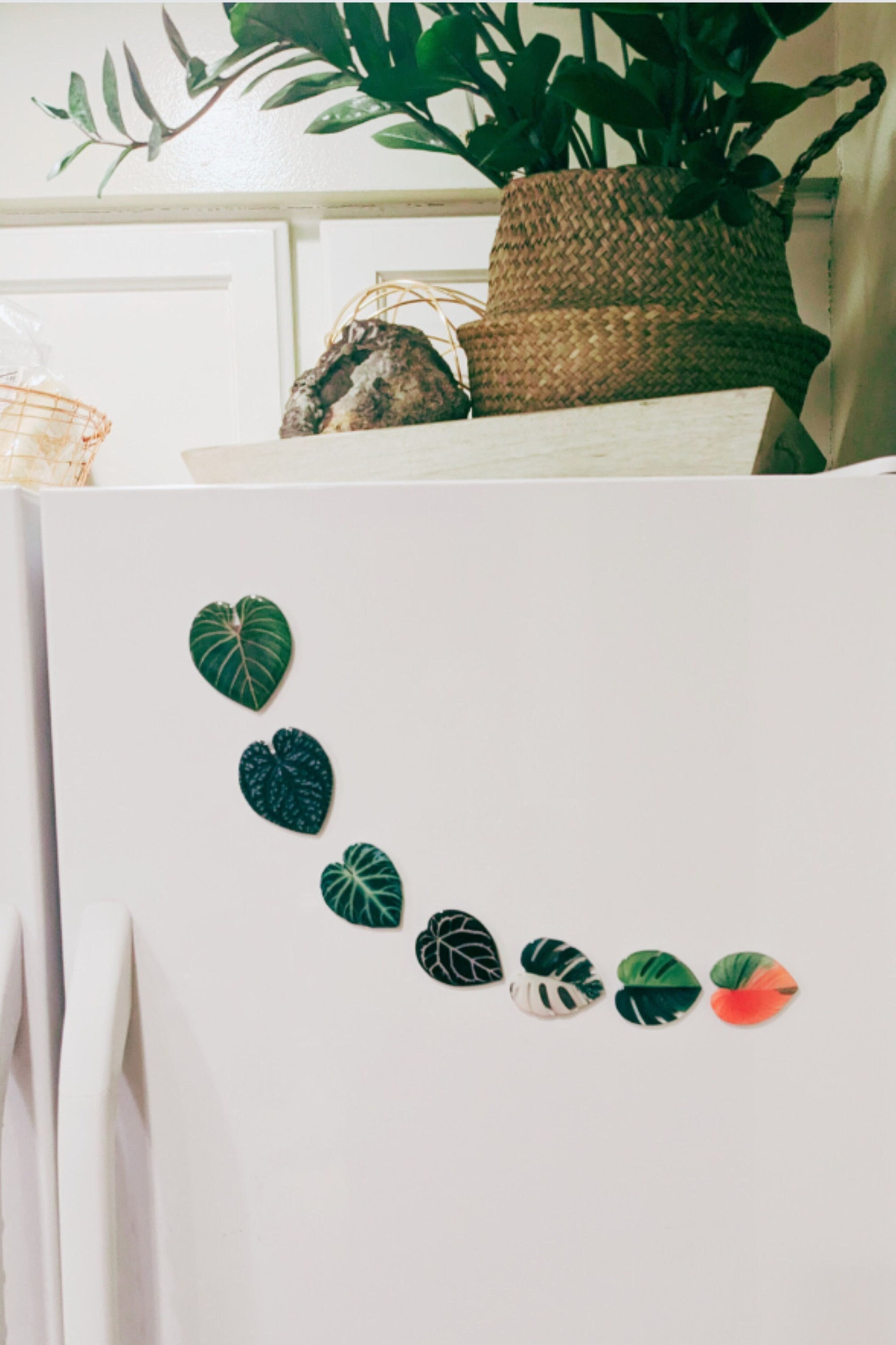 Houseplant Magnet Realistic Leaf Magnet, Rare Plant Magnet Monstera ...
