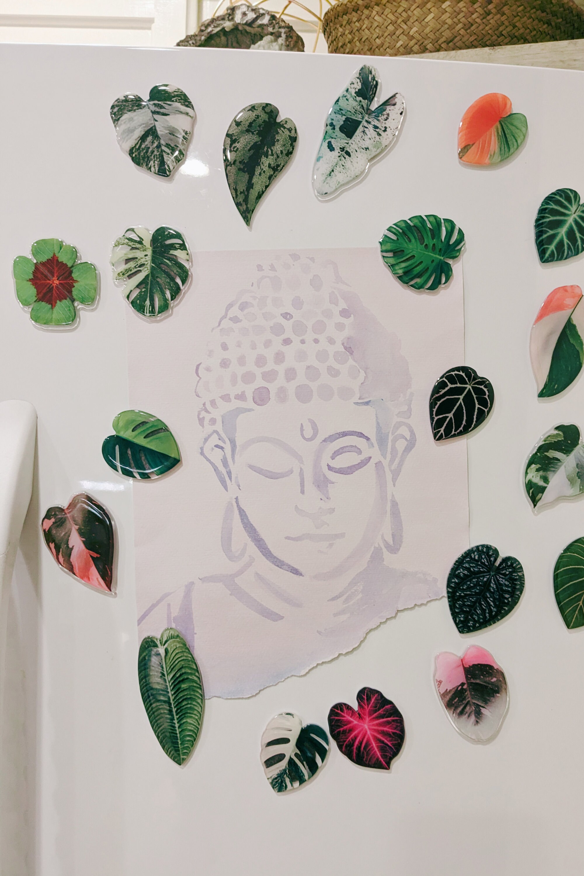 Houseplant Magnet Realistic Leaf Magnet, Rare Plant Magnet Monstera ...