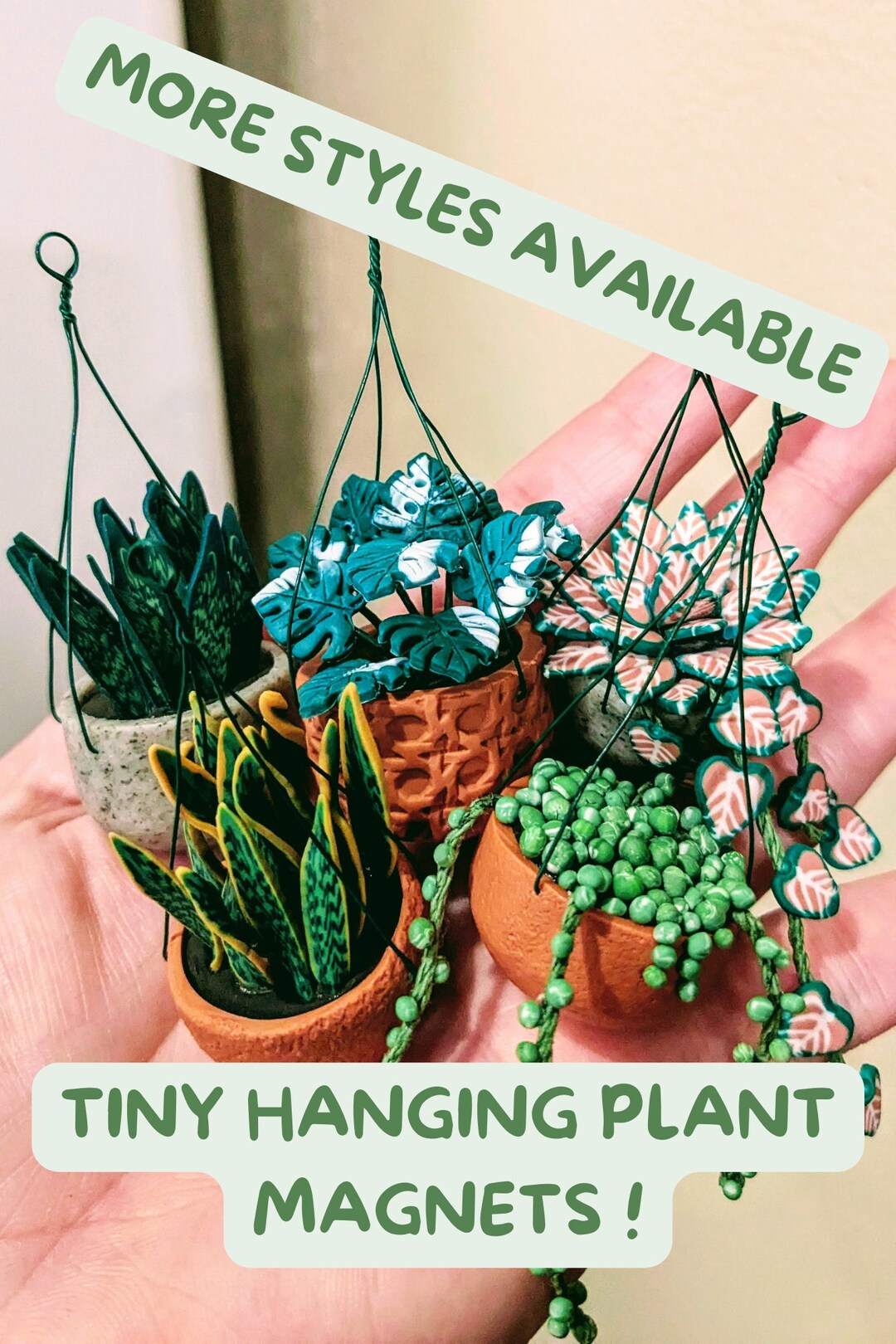 Tiny Hanging Plant Magnet, Monstera Magnet, Houseplant Decor, Plant ...