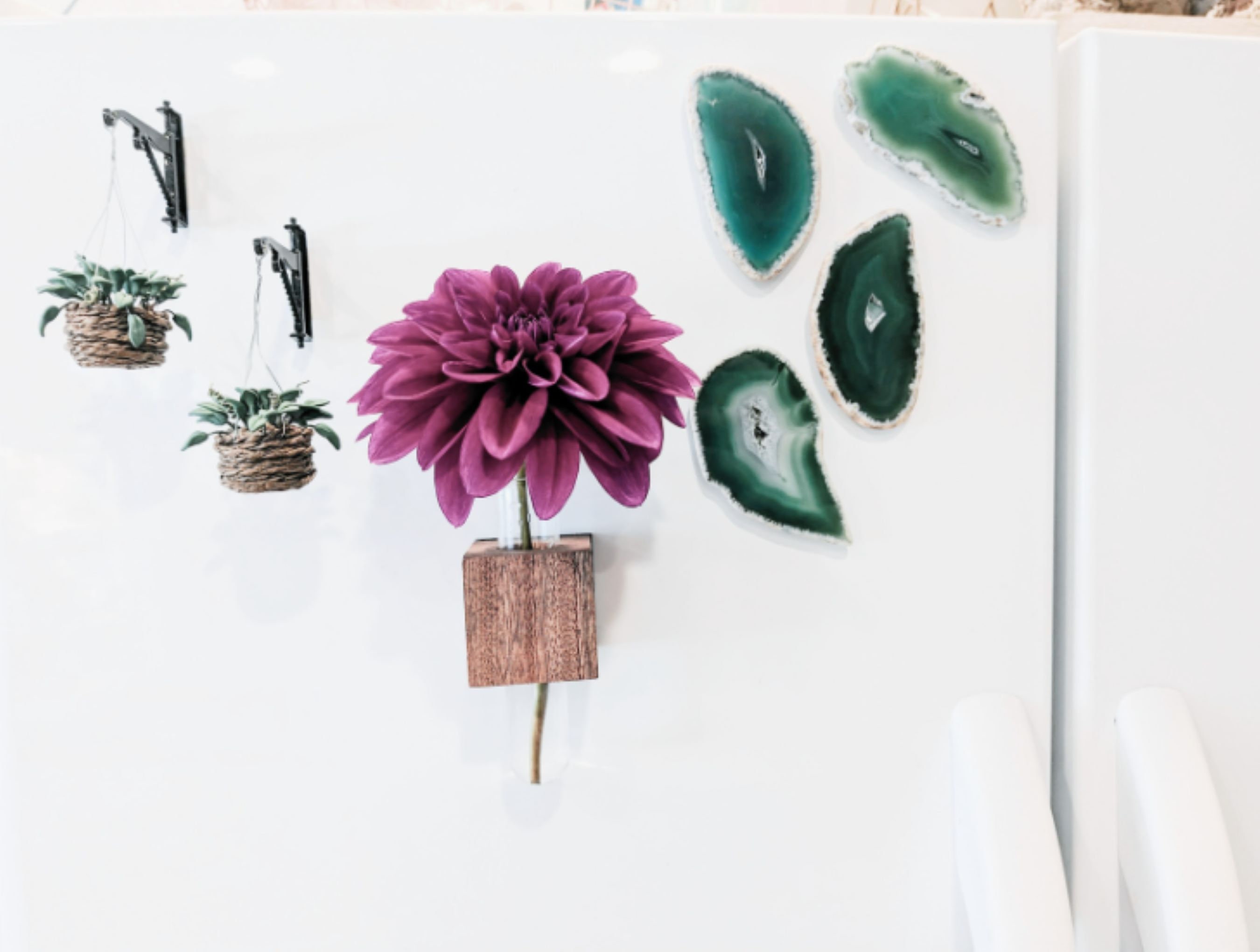 Mini Plant Magnet, Tiny Plant Magnet , Plant Decor, Hanging Planter ...