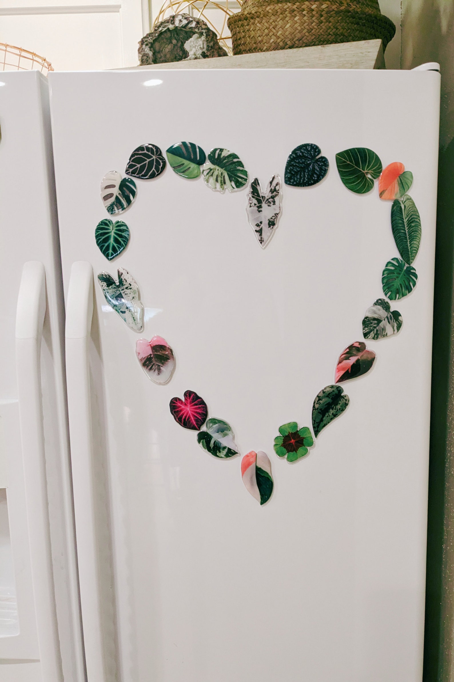 Houseplant Magnet Realistic Leaf Magnet, Rare Plant Magnet Monstera ...