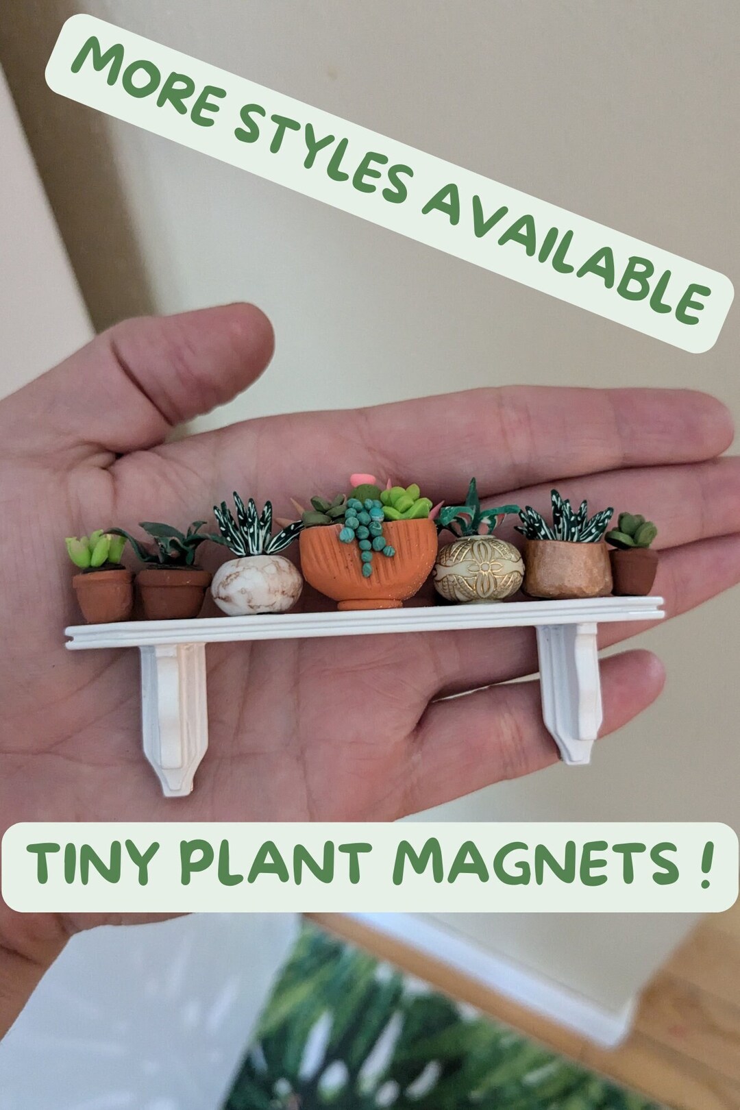 Plants on Shelf Magnet,miniature Fridge Magnet, Plant Fridge Magnet ...