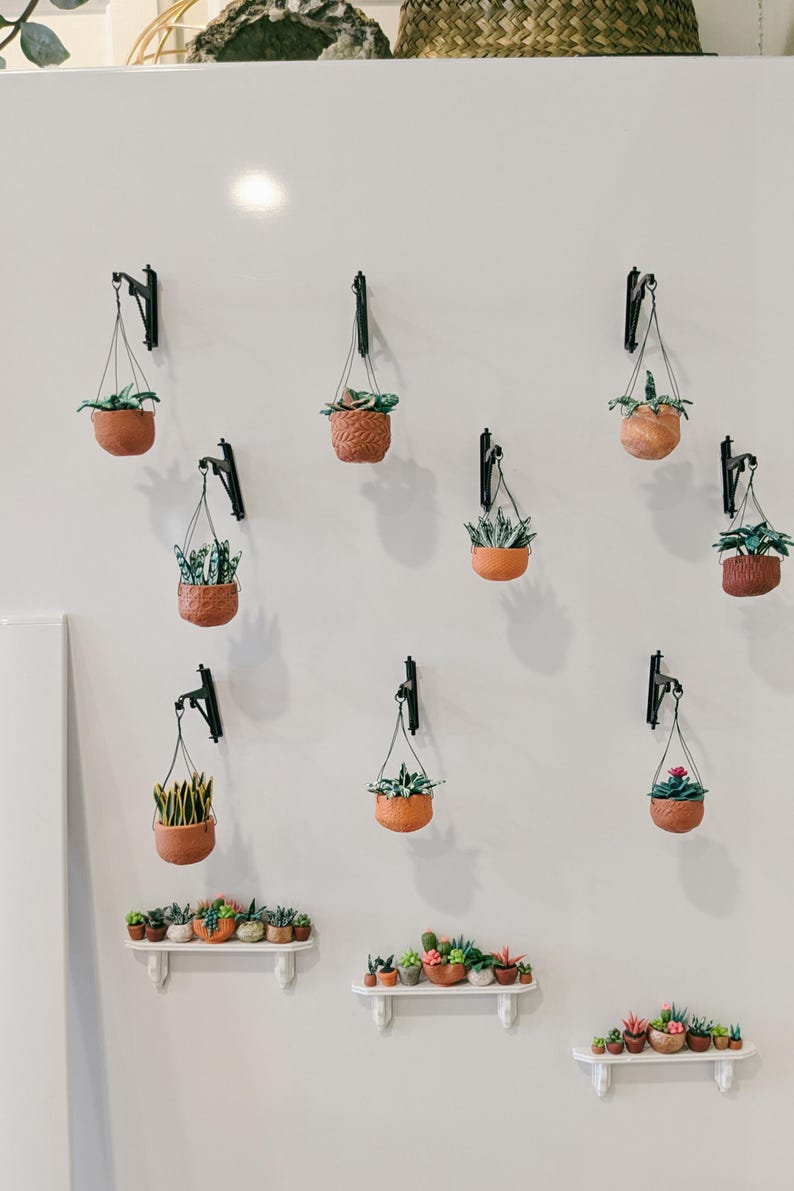 Miniature Plant Magnet, Tiny Hanging Plant, Plant Magnet,plant Fridge ...