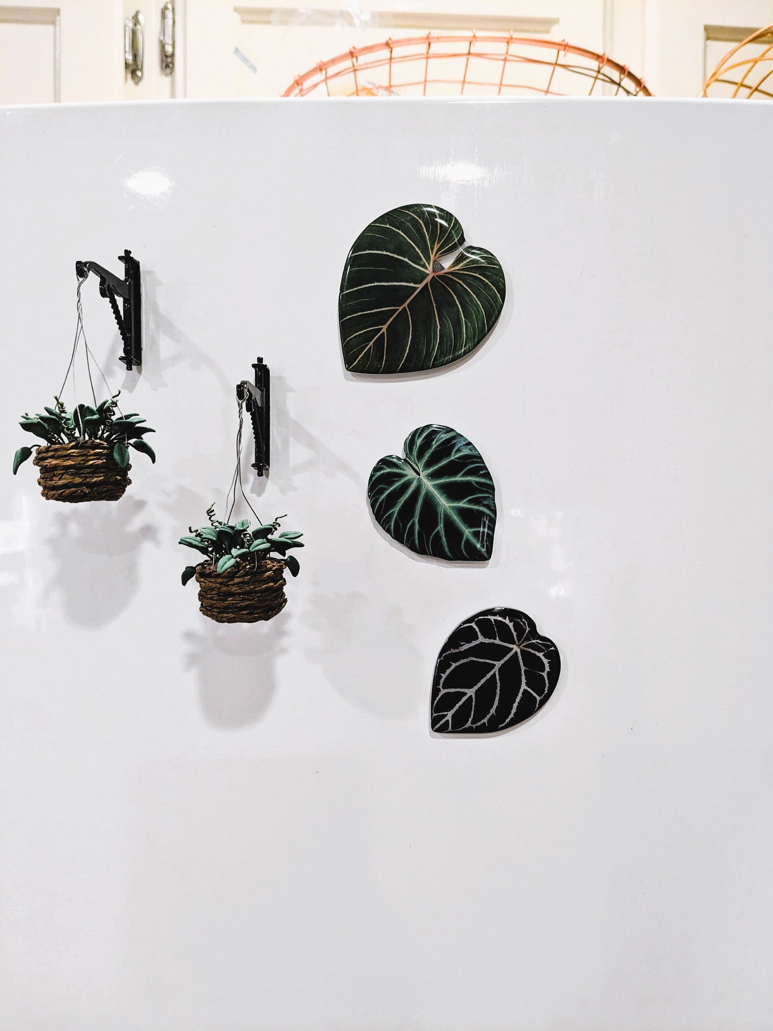 Houseplant Magnet Realistic Leaf Magnet, Rare Plant Magnet Monstera ...