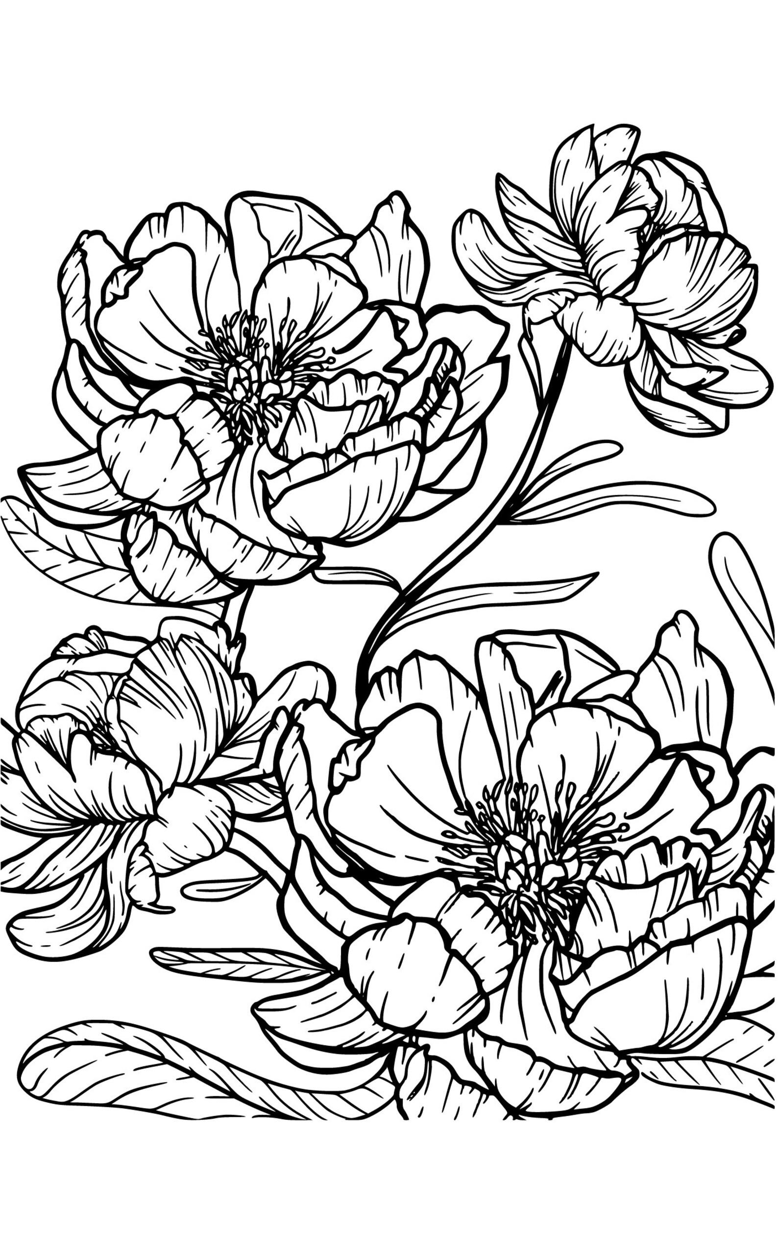 Wildflower Printable Coloring Pages - Etsy