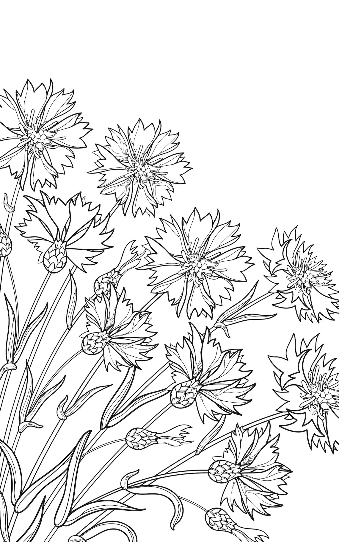 Wildflower Printable Coloring Pages - Etsy