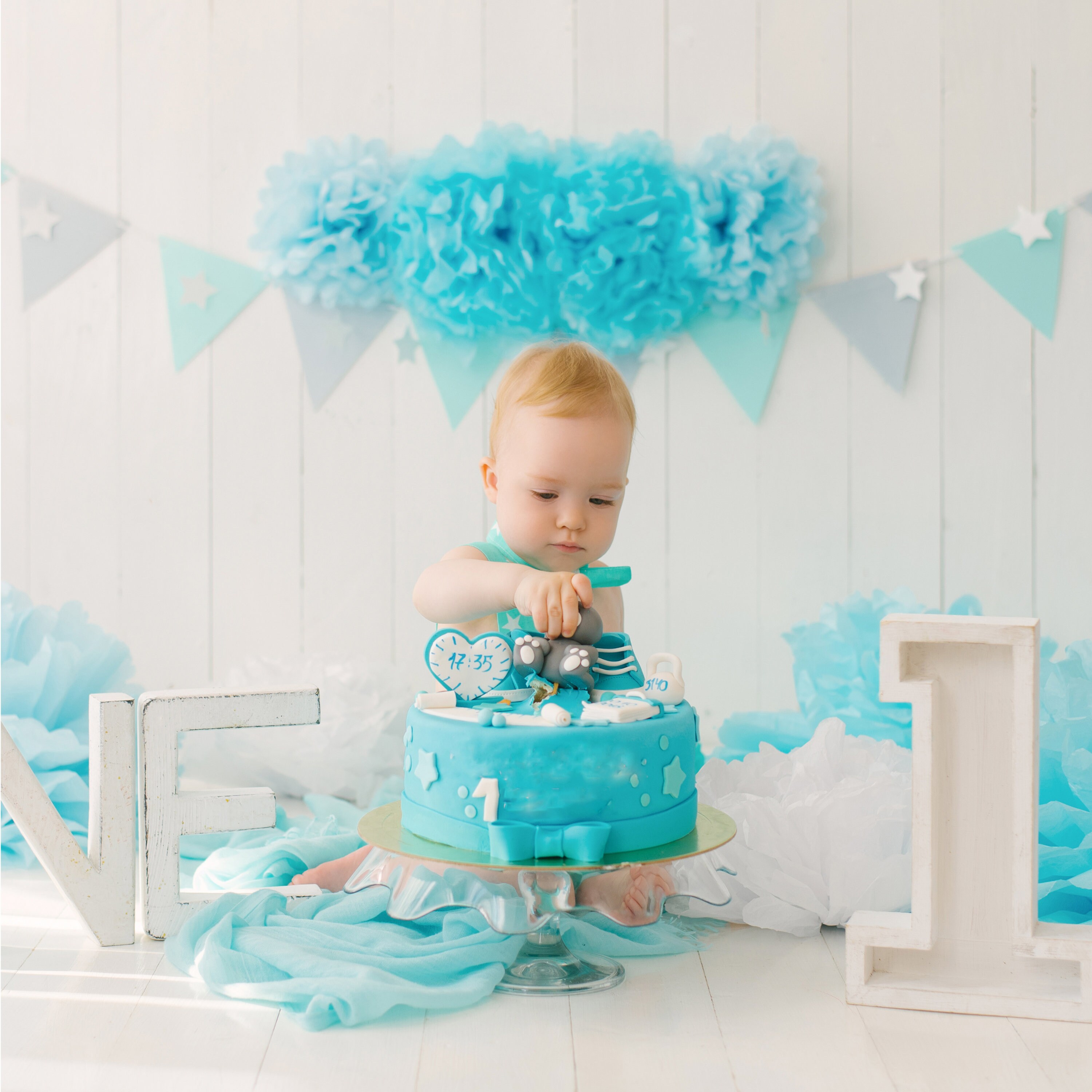 Editable Birthday Invitation First Birthday Invitation Invitation First ...