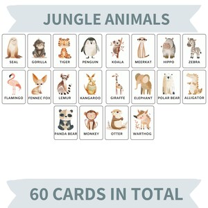 Animal Flashcards Set: 60 Preschool Vocabulary Cards (digital Download ...