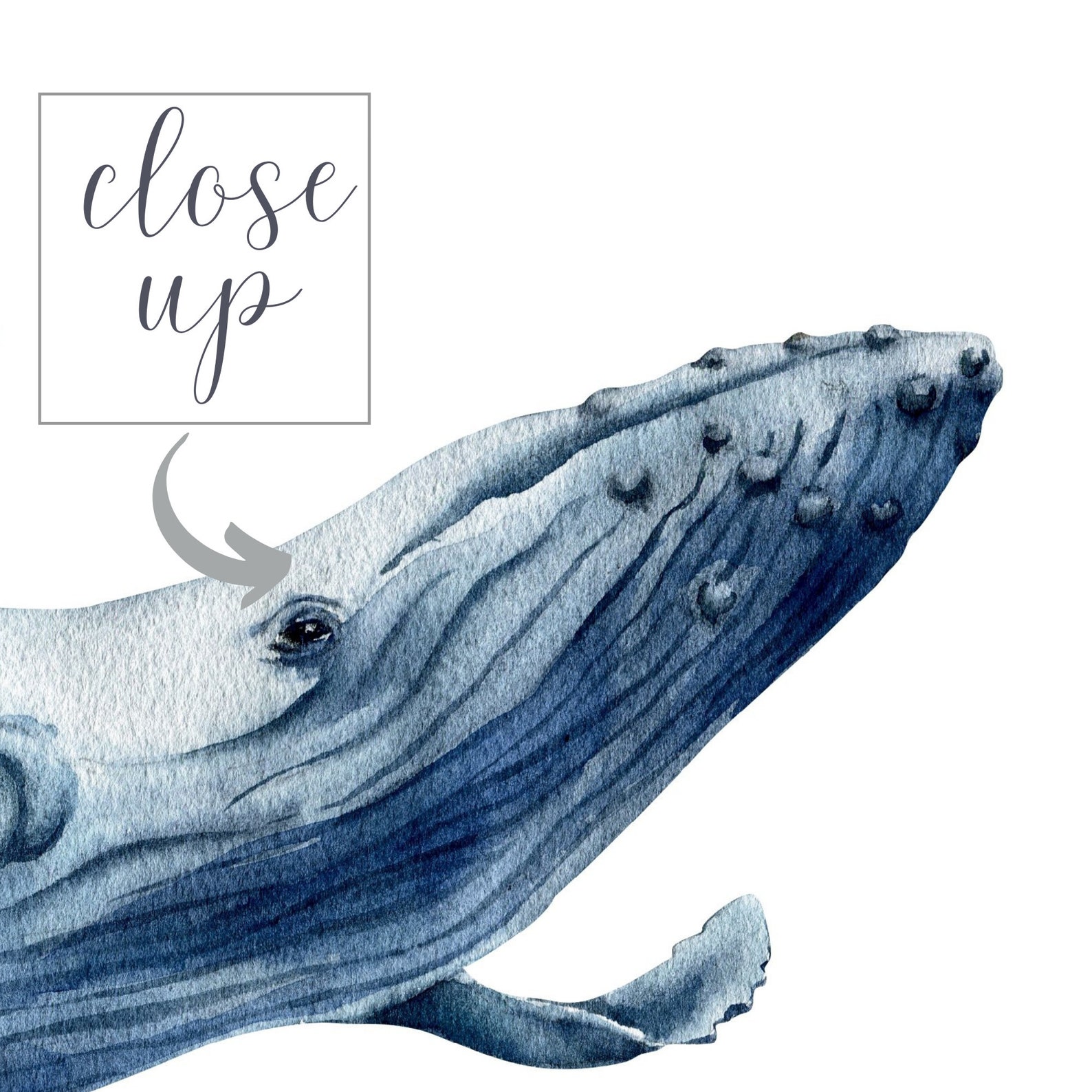 Nautical Nursery, Whale Print Set, Humpback Whale & Tale Designs With ...