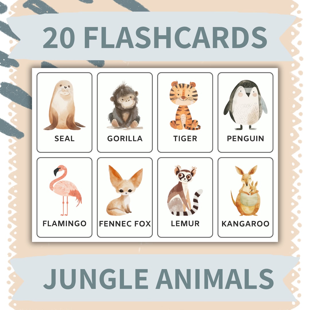 Animal Flashcards Set - 20 Preschool Vocabulary Cards for Reading ...