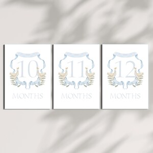 Grandmillenial Blue Crest Baby Milestone Cards - Capture Your Boy's ...