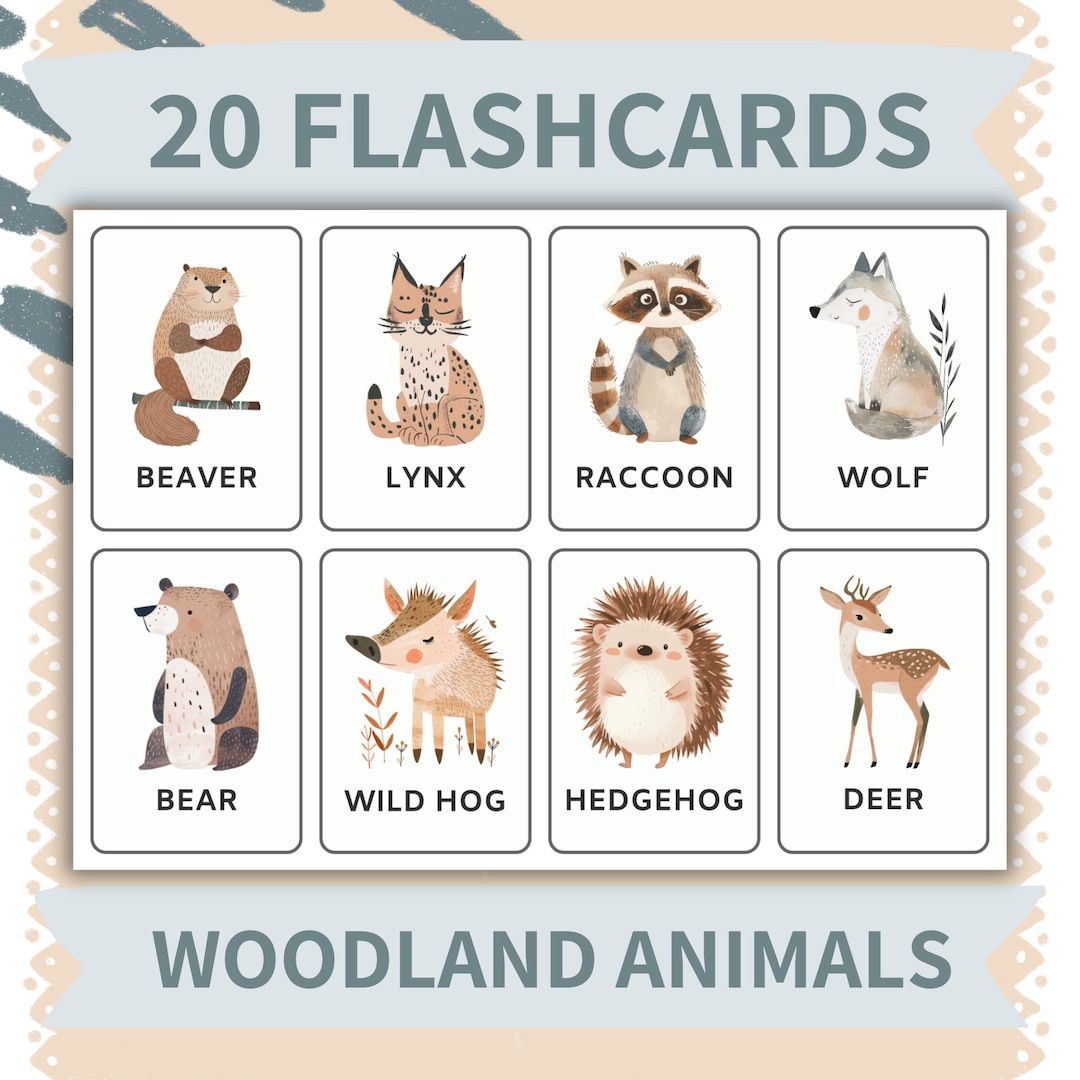 Animal Flashcards Set - 20 Preschool Vocabulary Cards for Reading ...
