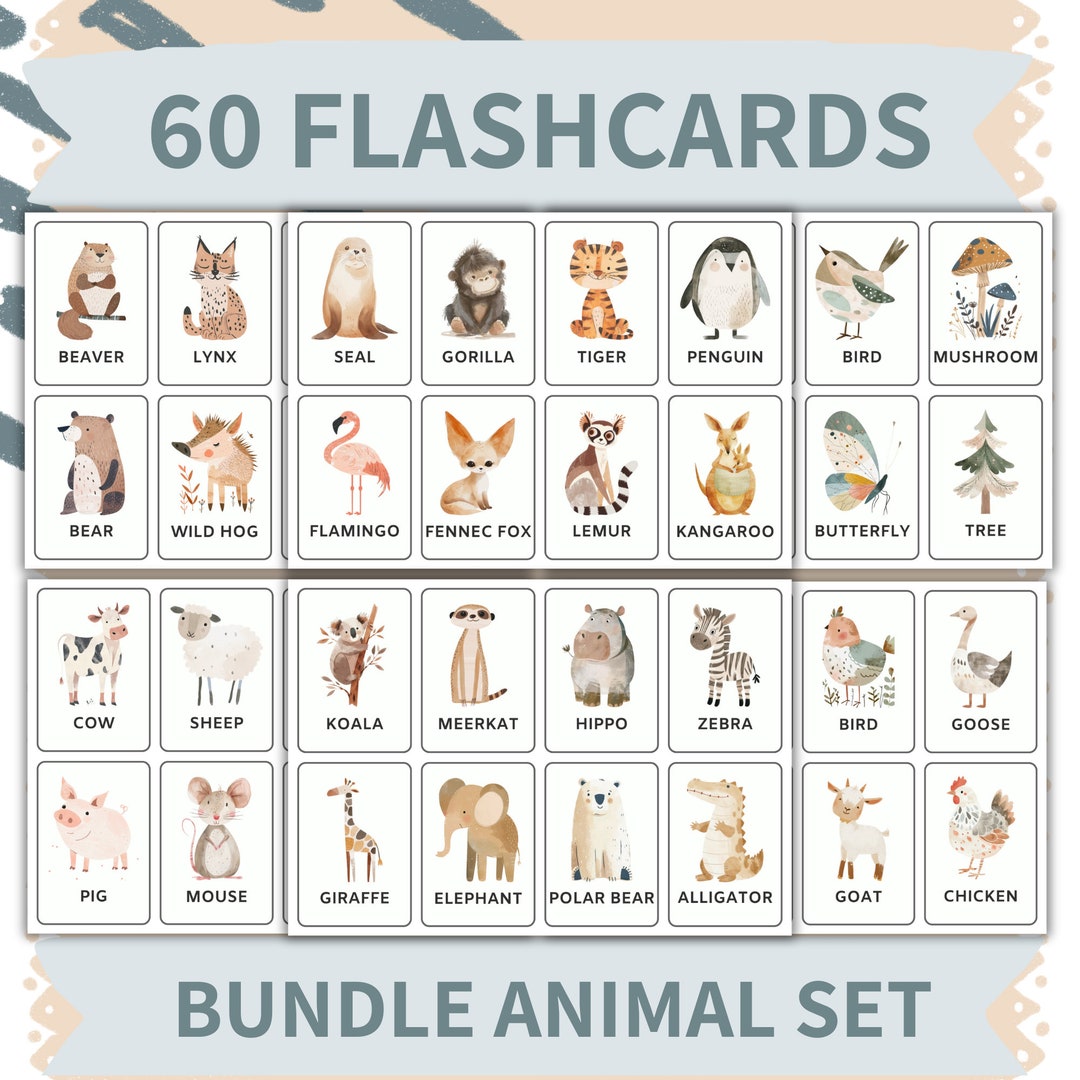 Animal Flashcards Set: 60 Preschool Vocabulary Cards (digital Download ...