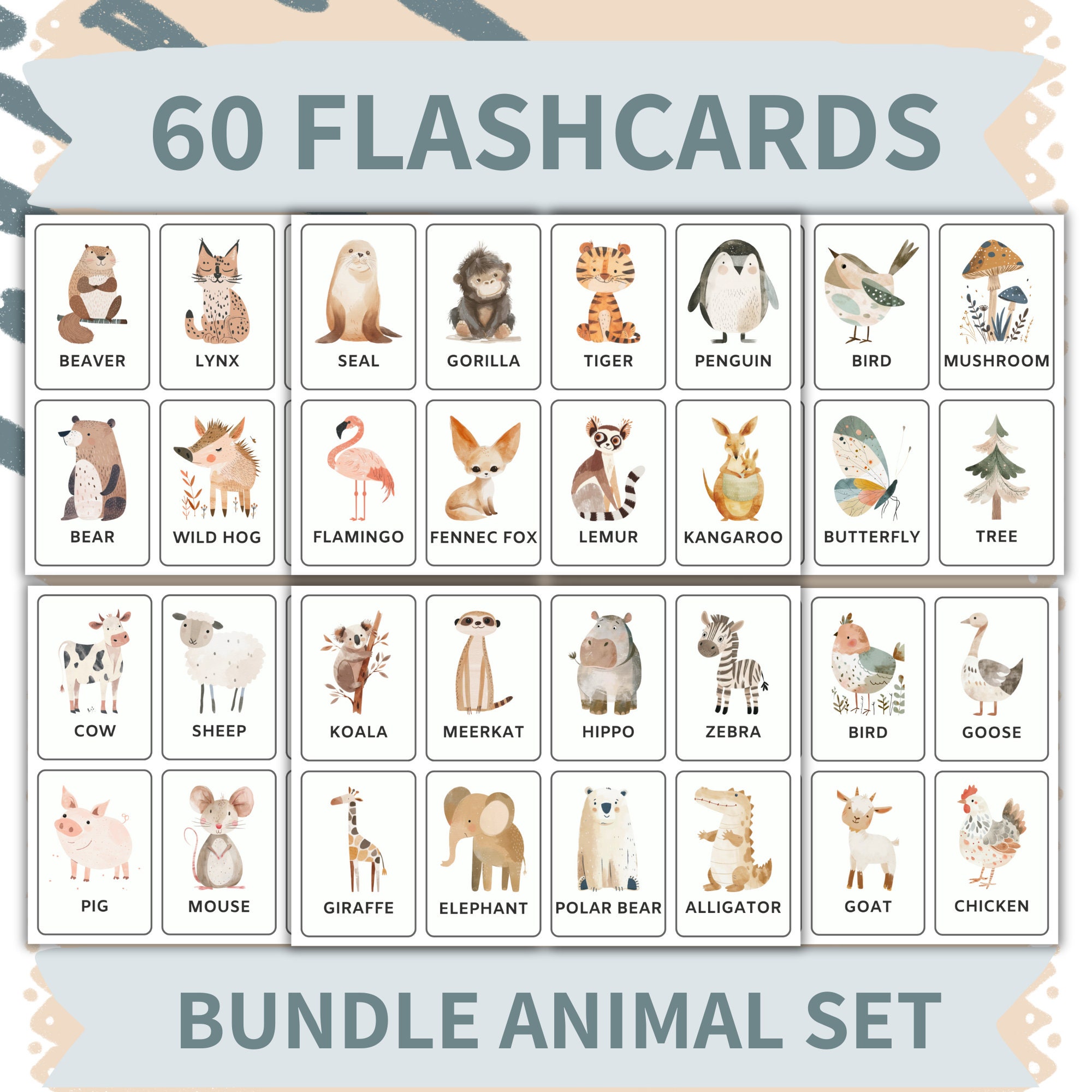 Animal Flashcards Set - 60 Preschool Vocabulary Cards for Reading ...