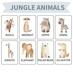 Animal Flashcards Set - 20 Preschool Vocabulary Cards for Reading ...