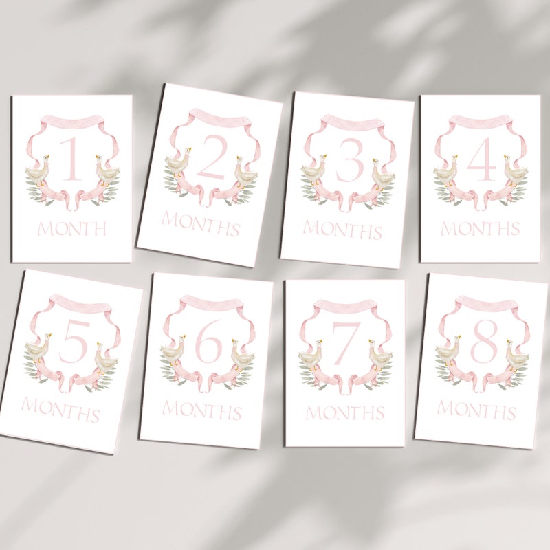 Milestone Cards - Etsy