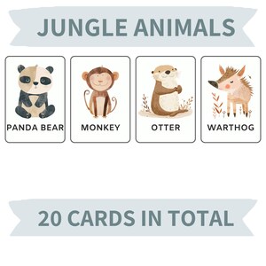 Animal Flashcards Set - 20 Preschool Vocabulary Cards for Reading ...