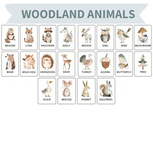 Animal Flashcards Set: 60 Preschool Vocabulary Cards (digital Download ...