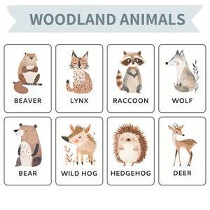 Animal Flashcards Set - 20 Preschool Vocabulary Cards for Reading ...