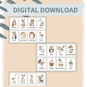 Animal Flashcards Set - 20 Preschool Vocabulary Cards for Reading ...