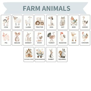 Animal Flashcards Set: 60 Preschool Vocabulary Cards (digital Download ...