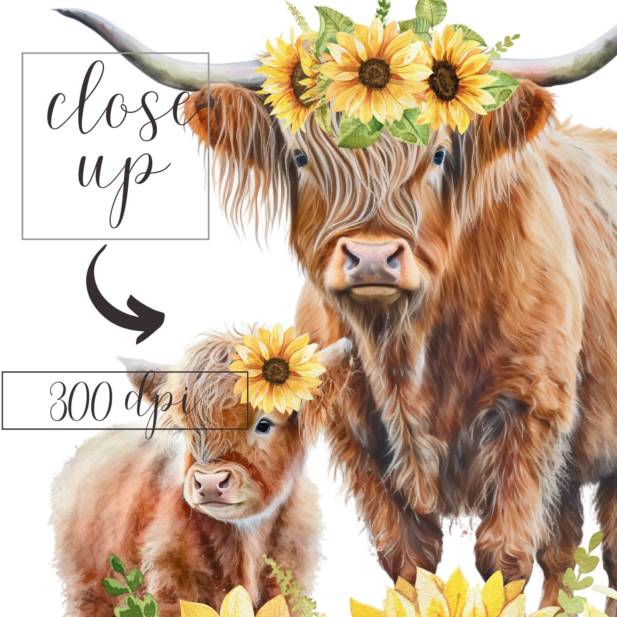 Rustic Nursery Highland Cow and Sunflower Prints Set of 3 you Are My ...