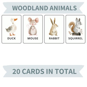 Animal Flashcards Set - 20 Preschool Vocabulary Cards for Reading ...