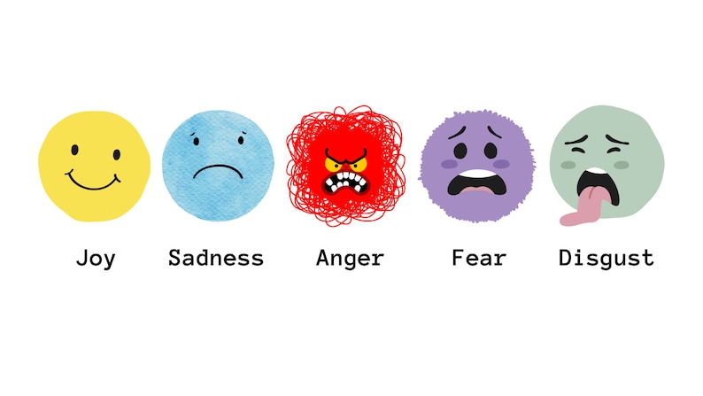 Basic Emotions Image Joy , Sadness, Anger, Fear, Disgust - Etsy