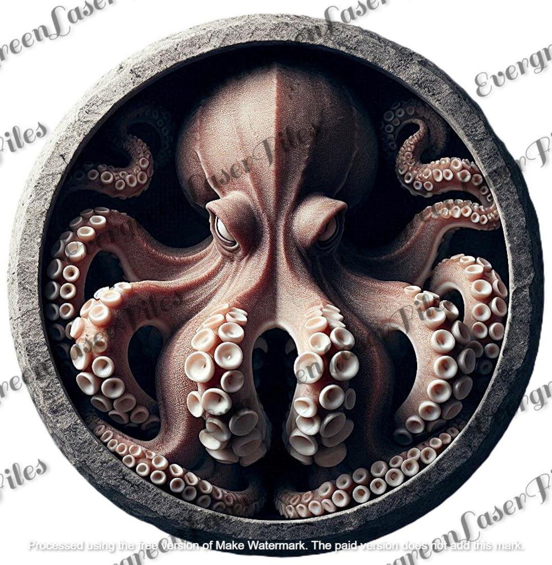 Octopus Slate File! Diode, C02, Fiber Lasers - Etsy