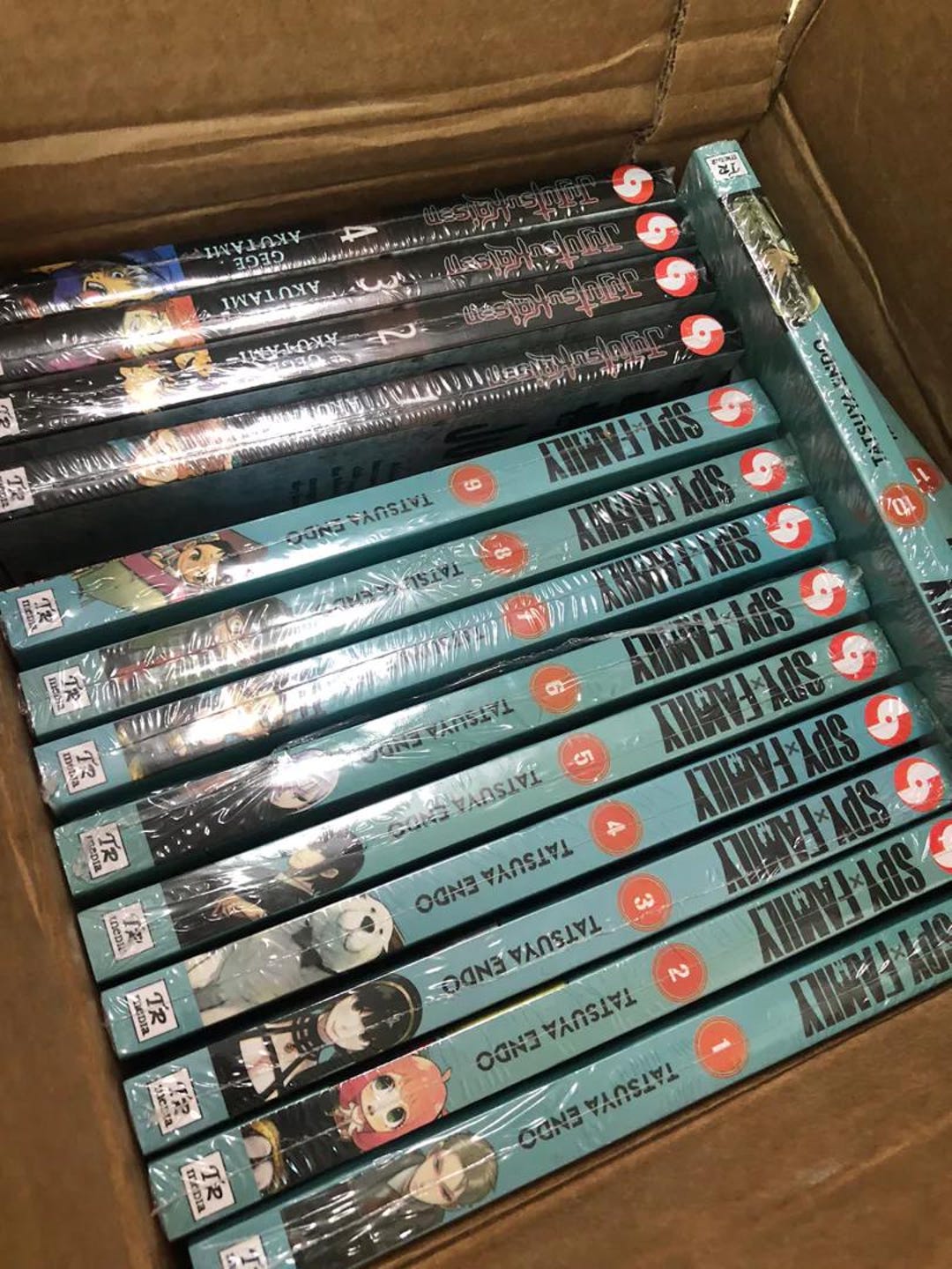 Spy X Family Manga Complete Full Set English Version Comic by Tatsuya Endo Volume 1-13 end Ship ...