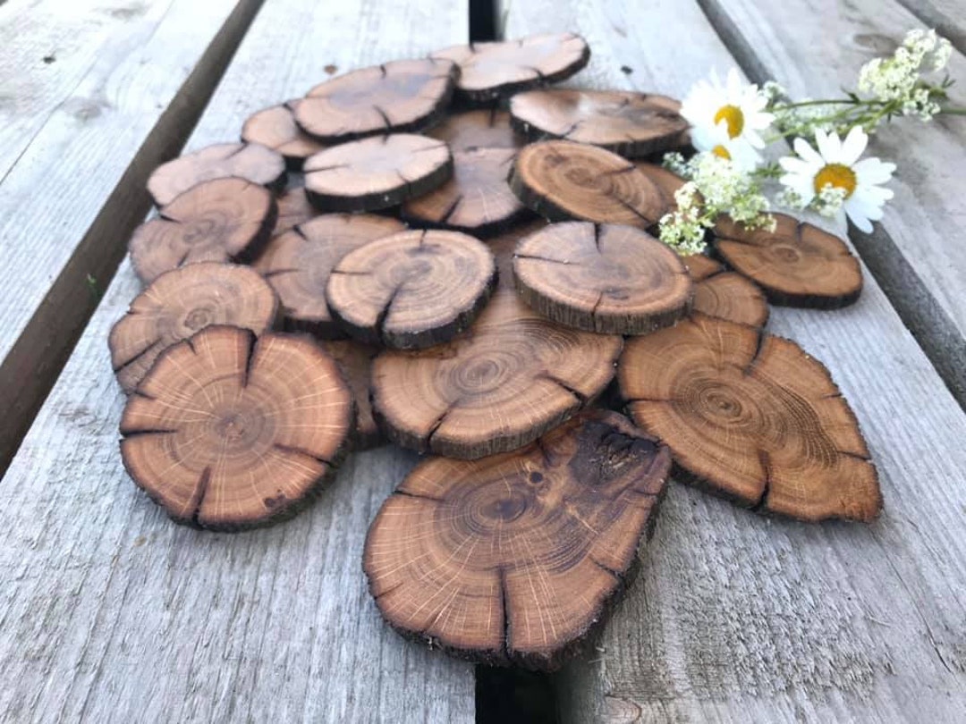 Set of 50 Natural Oak Wood Slices Rustic Oak Wood Slices Oak - Etsy